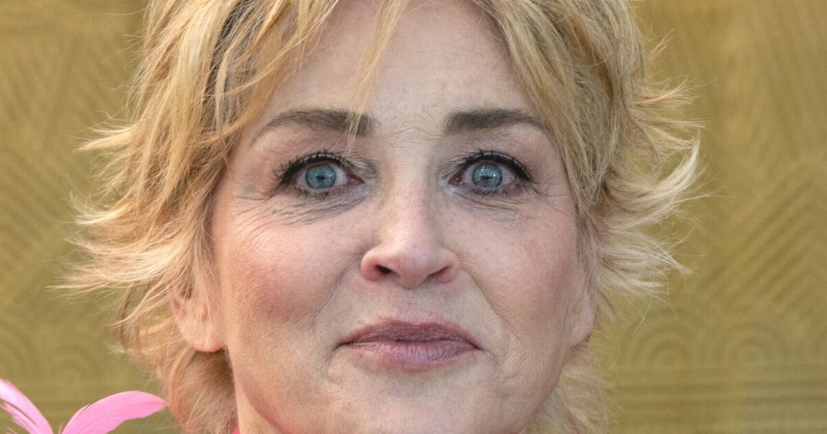 "I lost custody of my son": Sharon Stone hurt from iconic scene in ...