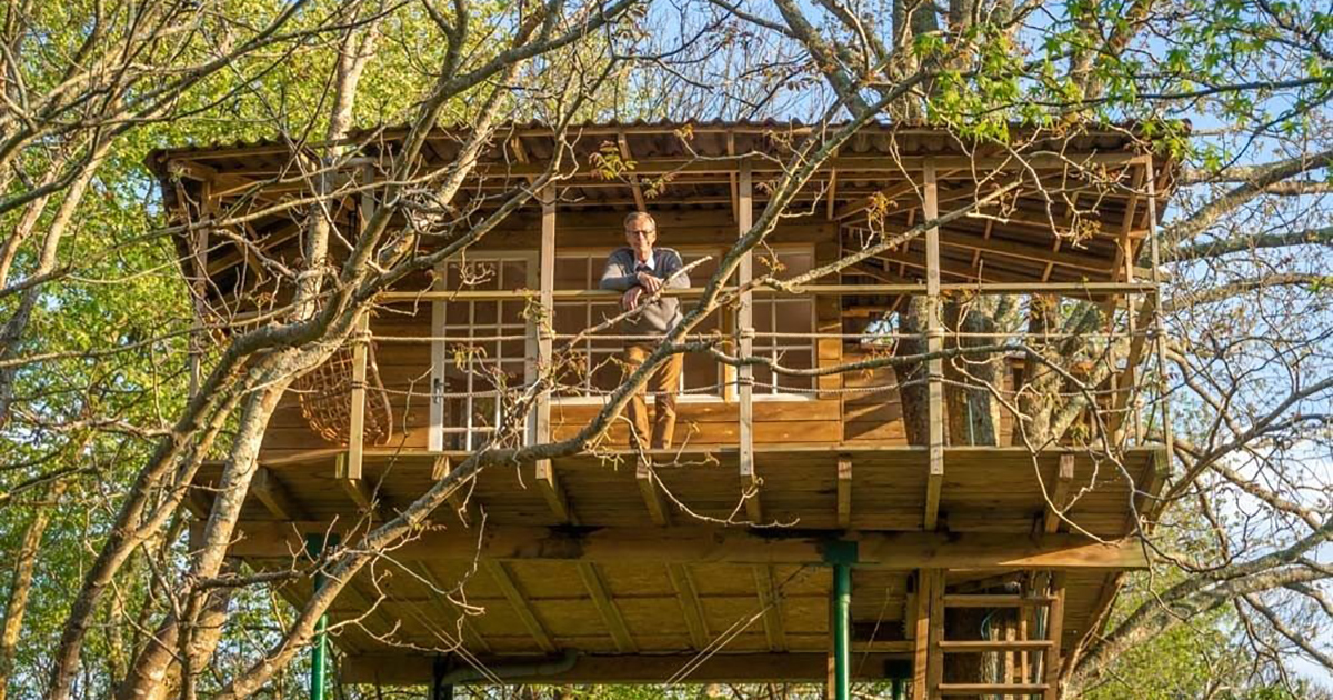 "Is This Treehouse The Best Retirement Project?": The Man Decided to ...